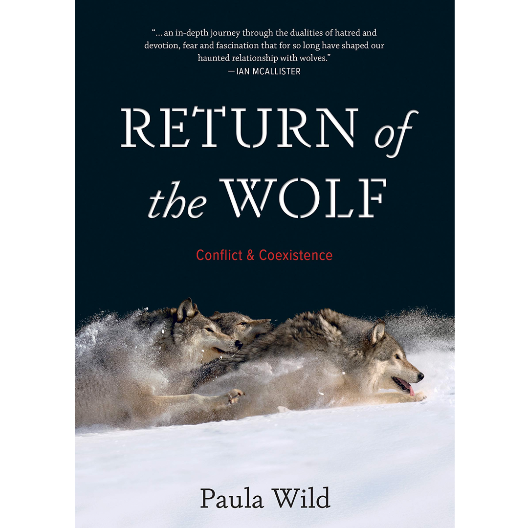 Return of the Wolf wins silver medal in International Book Awards ...